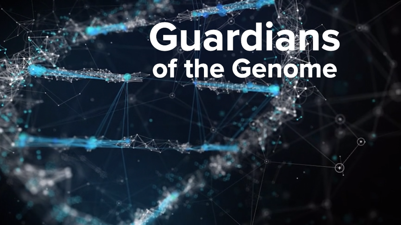 Guardians of the Genome | Microbiology and Molecular Genetics